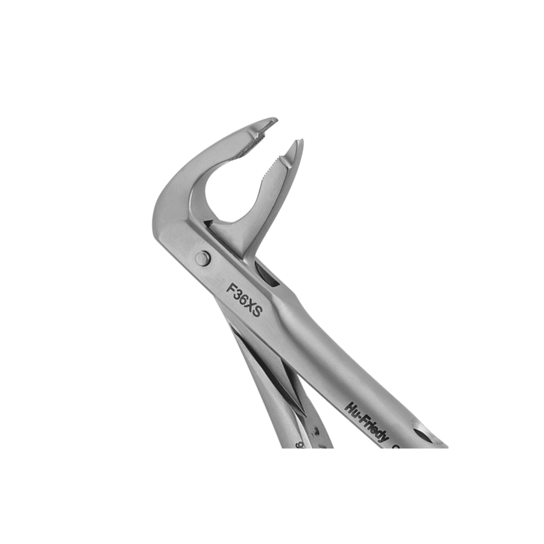 Davier Atraumair 36, Canines et Incisives Bas - HDO Hightech Dentaire ...